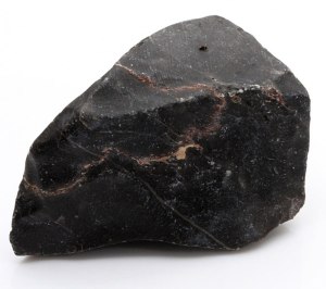 Master shamanite | Mensensamenleving.me